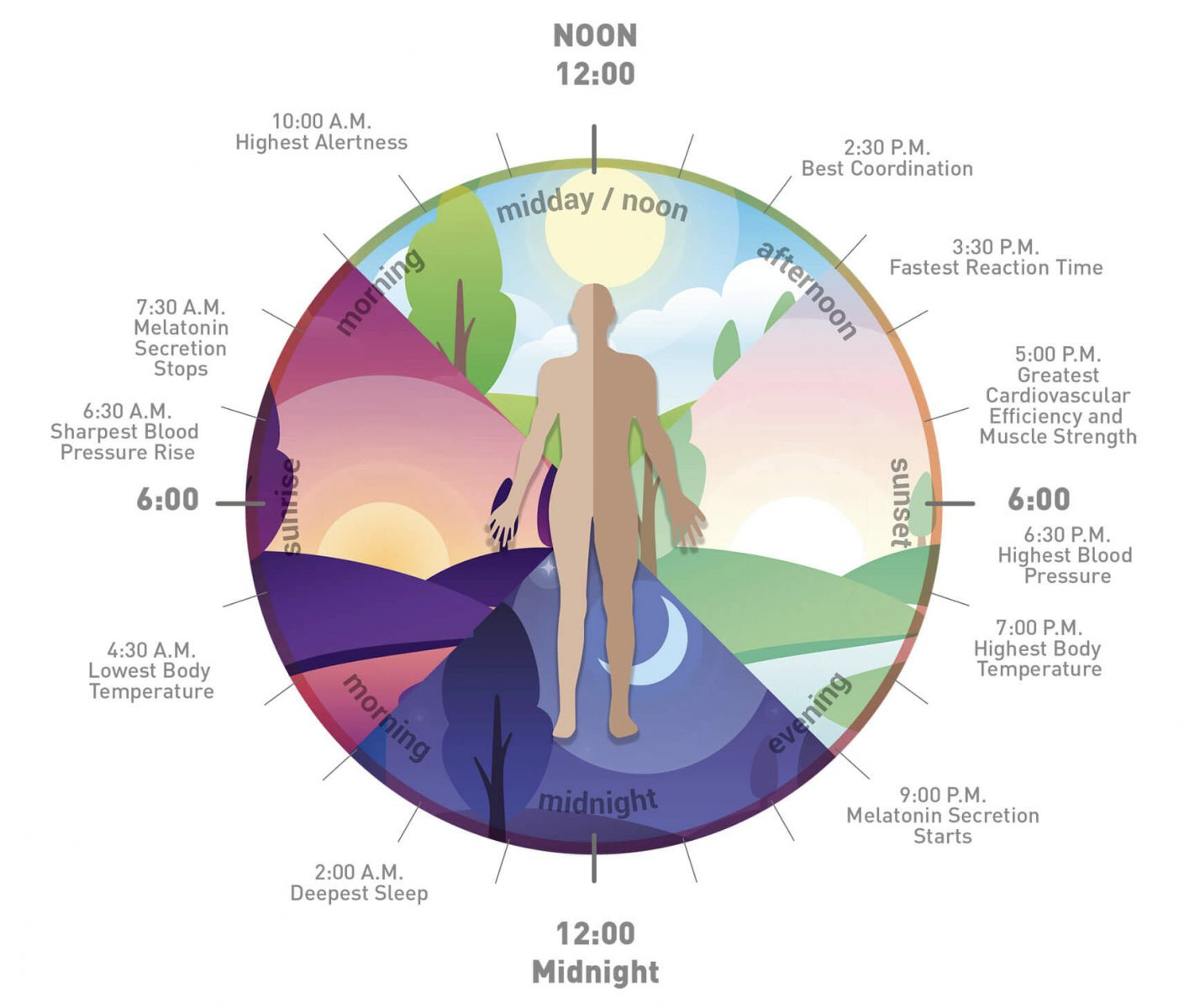 The Circadian Rhythm and Health: A Clinician’s Guide to Optimizing ...